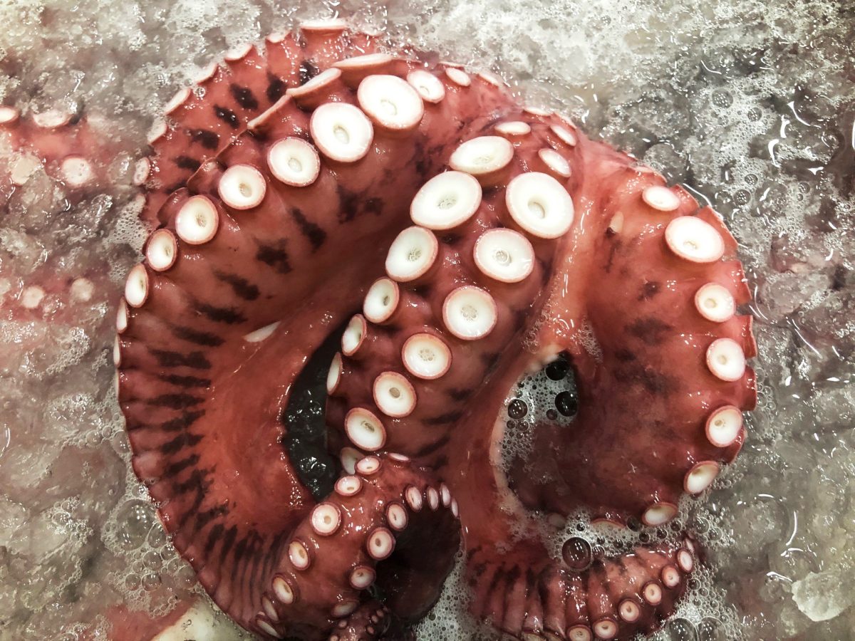 Kenndo Management Indonesia